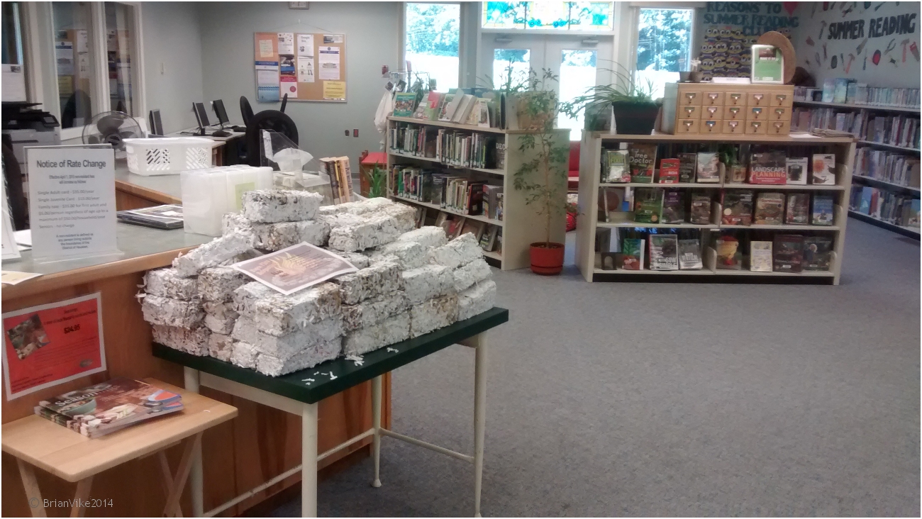 Northern Interior British Columbia: Houston Public Library Houston ...