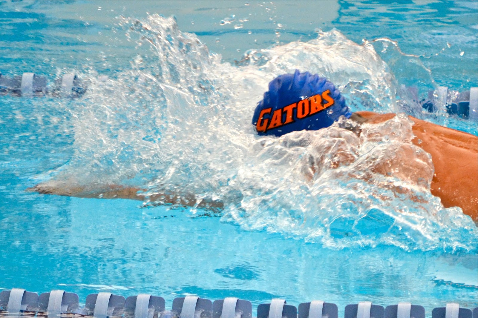 MILO Sports: Florida Gators swimming cap