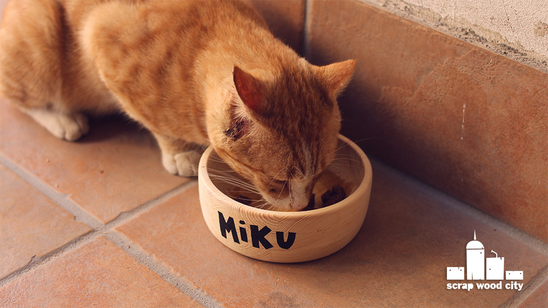 scrap wood city: How to make a turned bowl for your cat