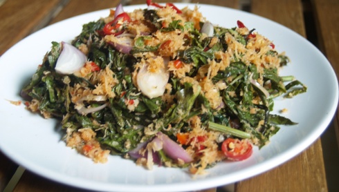 Dapur Rebellina: Resep Anyang Pakis Dari Melayu-Deli, Kuliner Yang ...