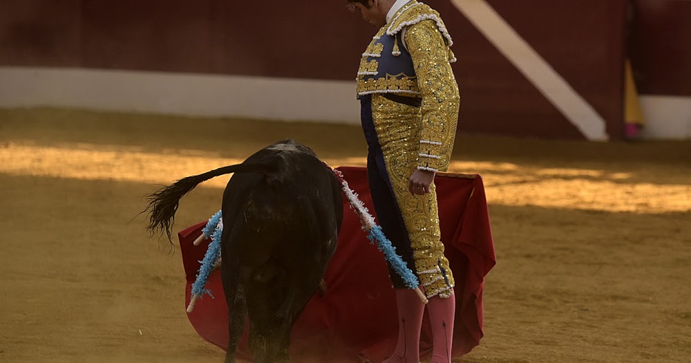 Triomphe d'Antoine Madier à la non-piquée de Samadet