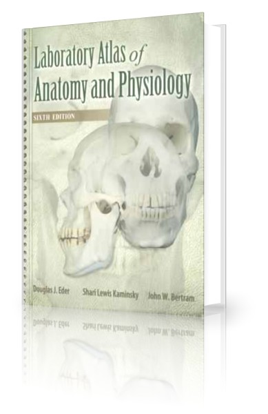 Surgery Made Easy Laboratory Atlas Of Anatomy And Physiology 6th Edition