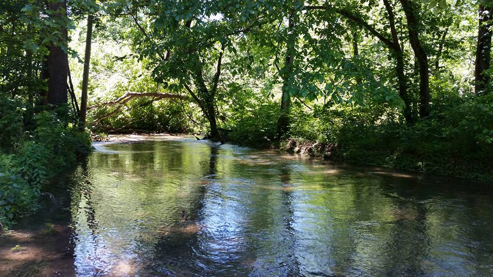 miles to go before I sleep....: 11 trail runners tackle Spavinaw WMA