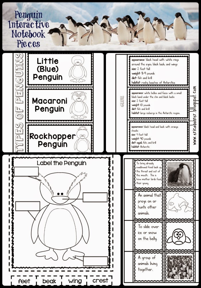 Penguins and Sounds of Y – Visual Plans