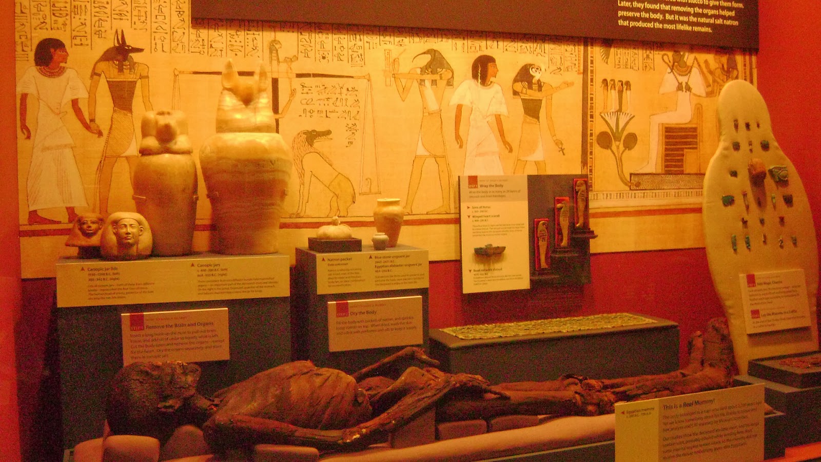 For the Love of Night at the Museum: Night #61 - Mummy Apocalypse