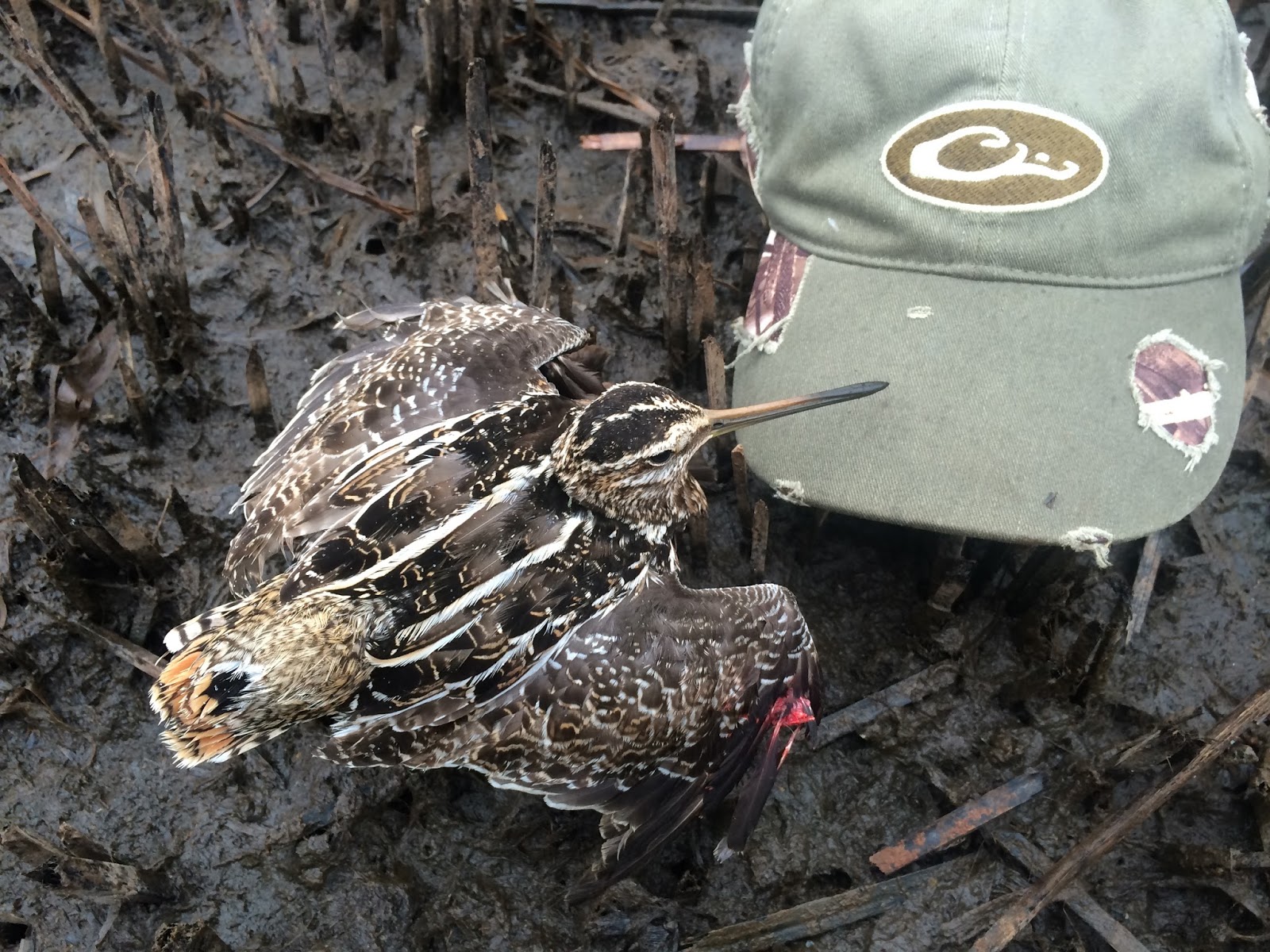 Lowcountry outdoors: Life Lessons Learned While Snipe Hunting