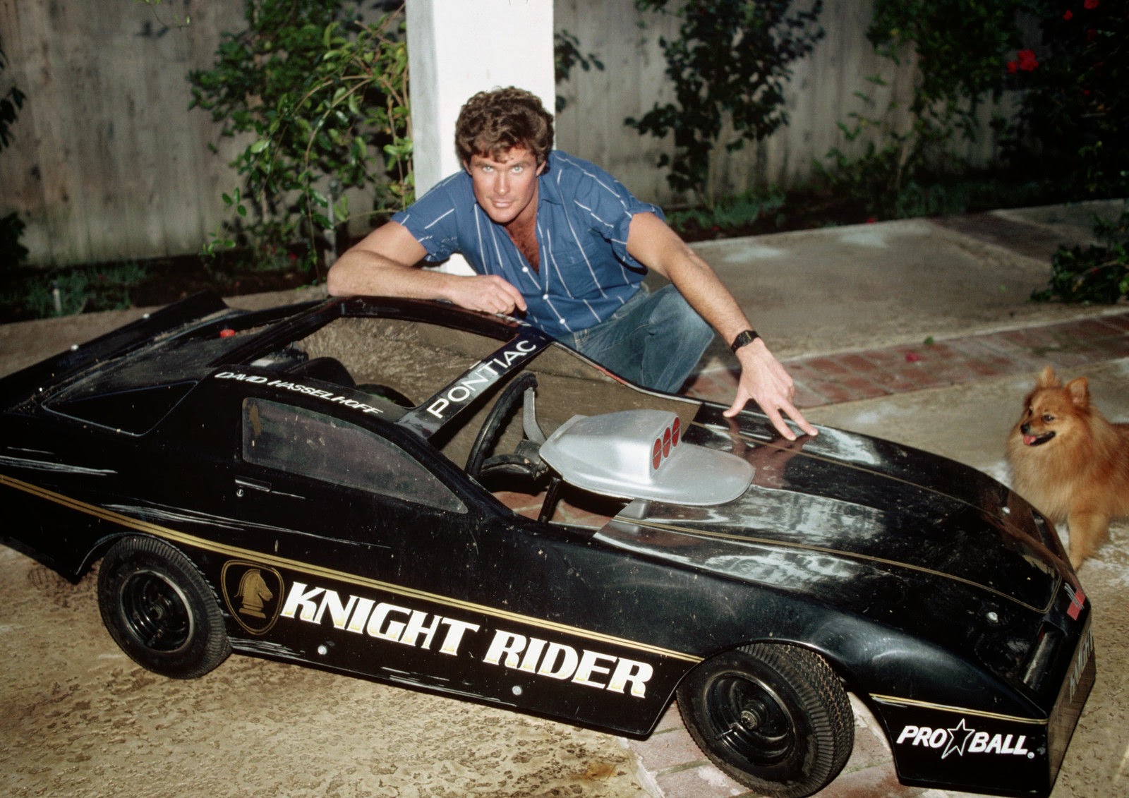 David Hasselhoff Seduces The Camera as Michael Knight