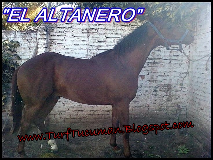 Turf de Tucuman: Cuadreras Para Este Finde...!!