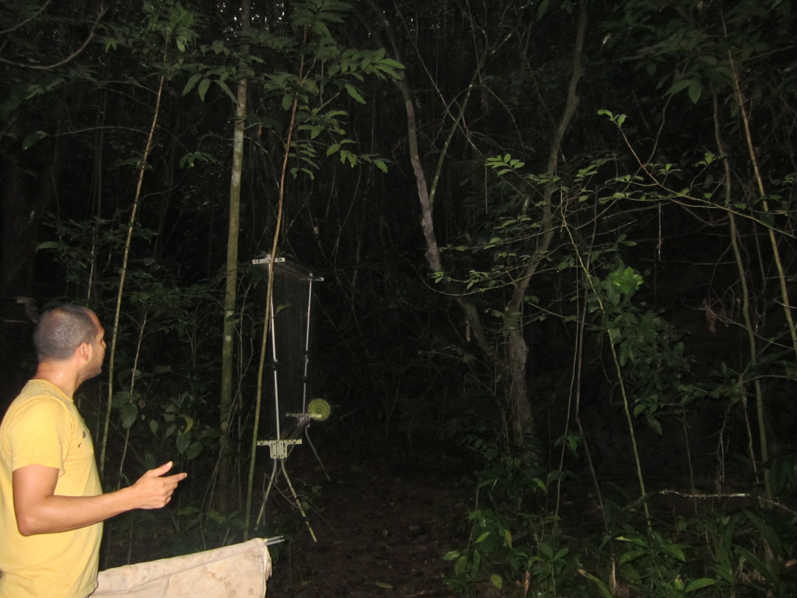 east coast heart and a west coast mentality: NASBR conference in Puerto ...