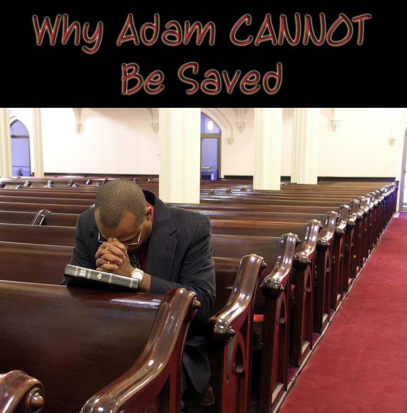 The Latter Days: Why Adam Cannot Be Saved