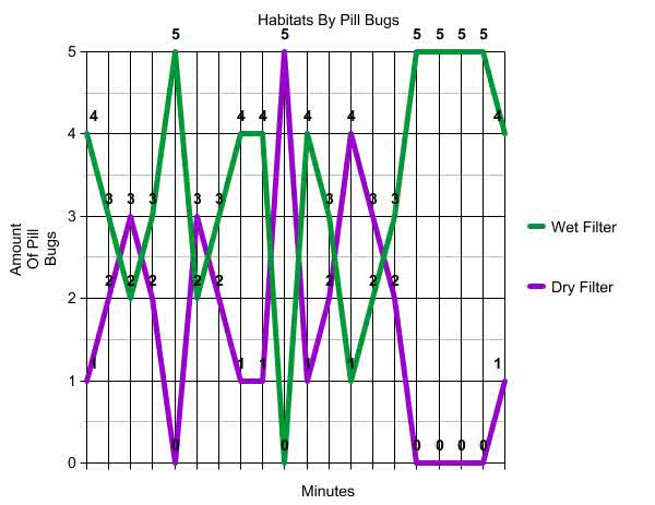 Kaylynn's Ap Biology Blog: Pill Bug Lab