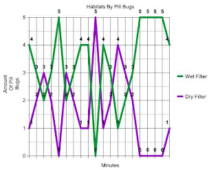 Kaylynn's Ap Biology Blog: Pill Bug Lab
