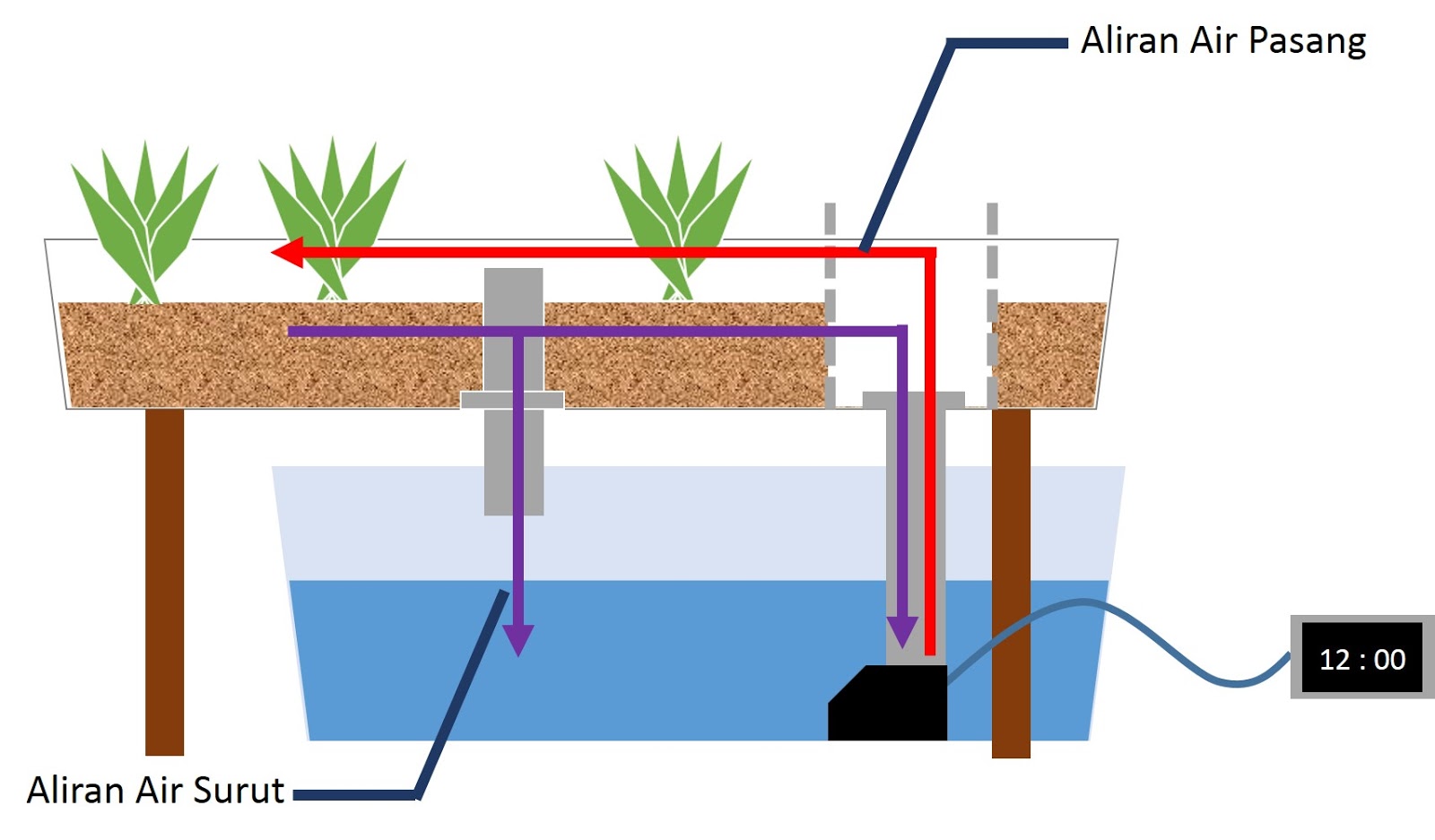 Sistem Ebb Flow - Sistem Hidroponik yang Dapat Menjadi Rival NFT tetapi ...