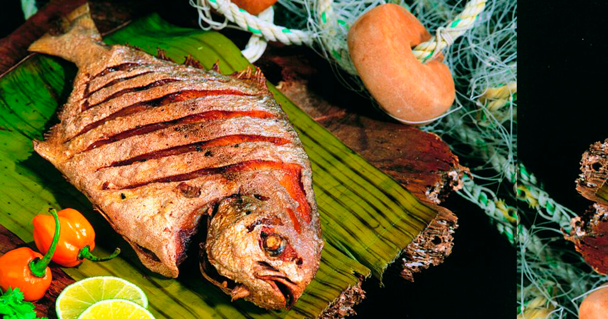 Comidas exóticas : comidas exoticas de ECUADOR