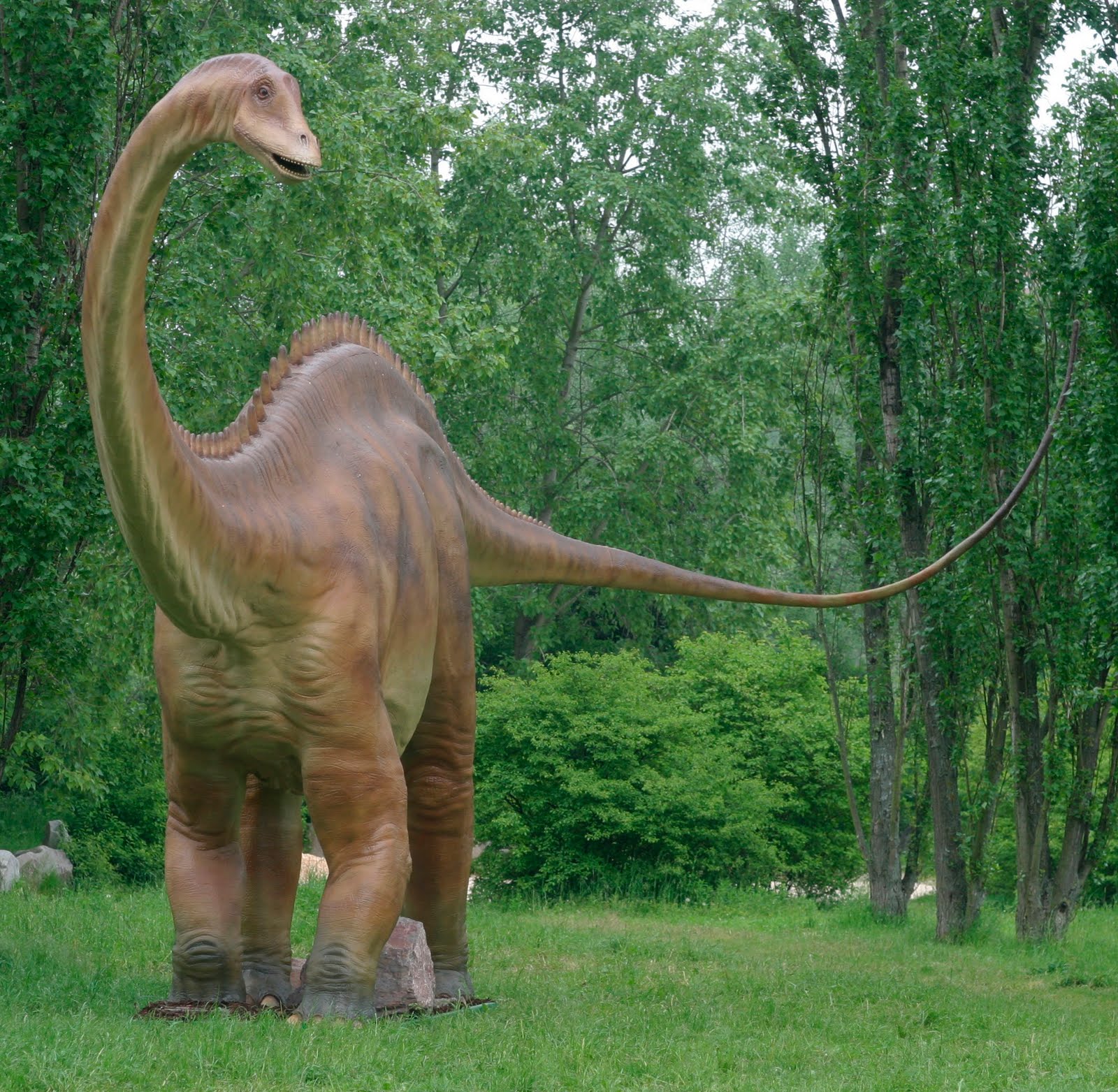 Dinossauros e jogos: Diplodocus