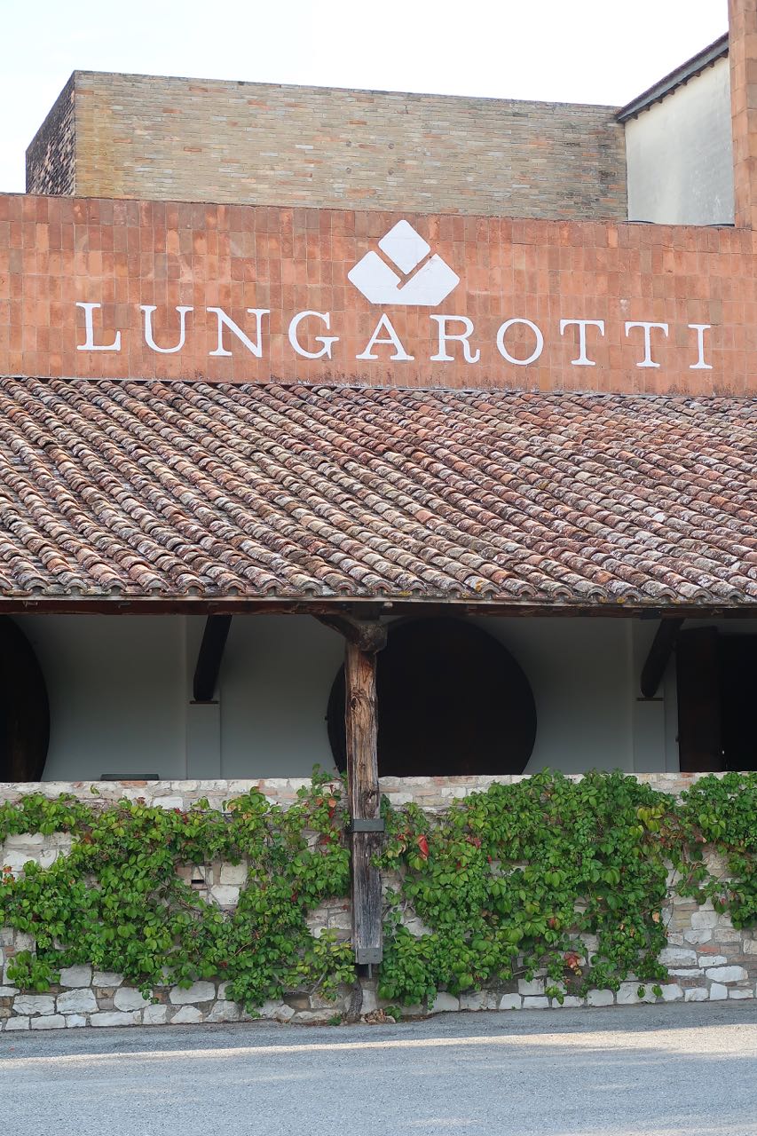 Scrumpdillyicious: Lungarotti Winery in Torgiano: Vines, Wine & Art
