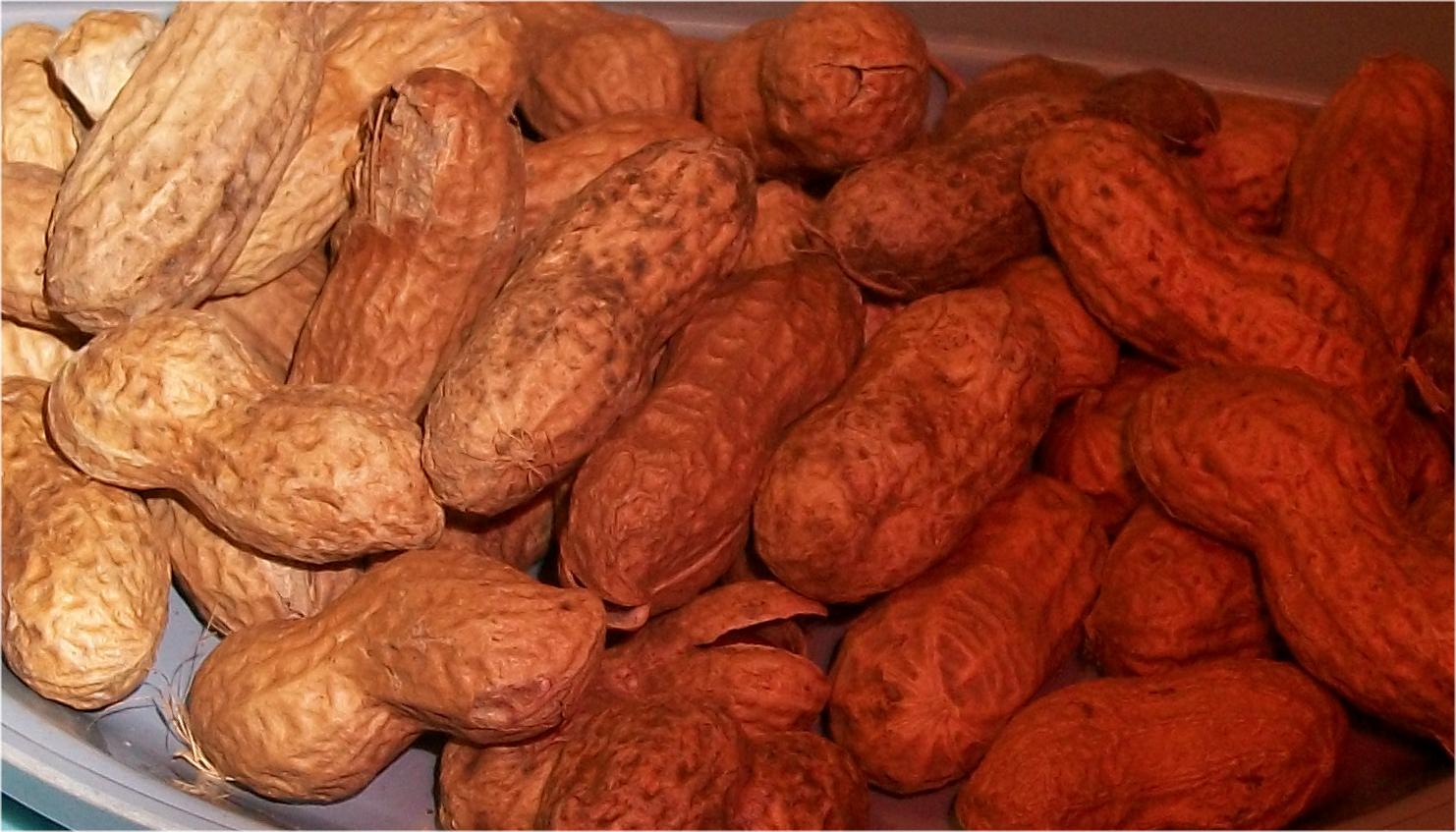 English Expression of the Day: August 2011