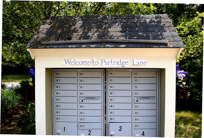 Capadia Designs: Neighborhood Mailbox Project - Part Two