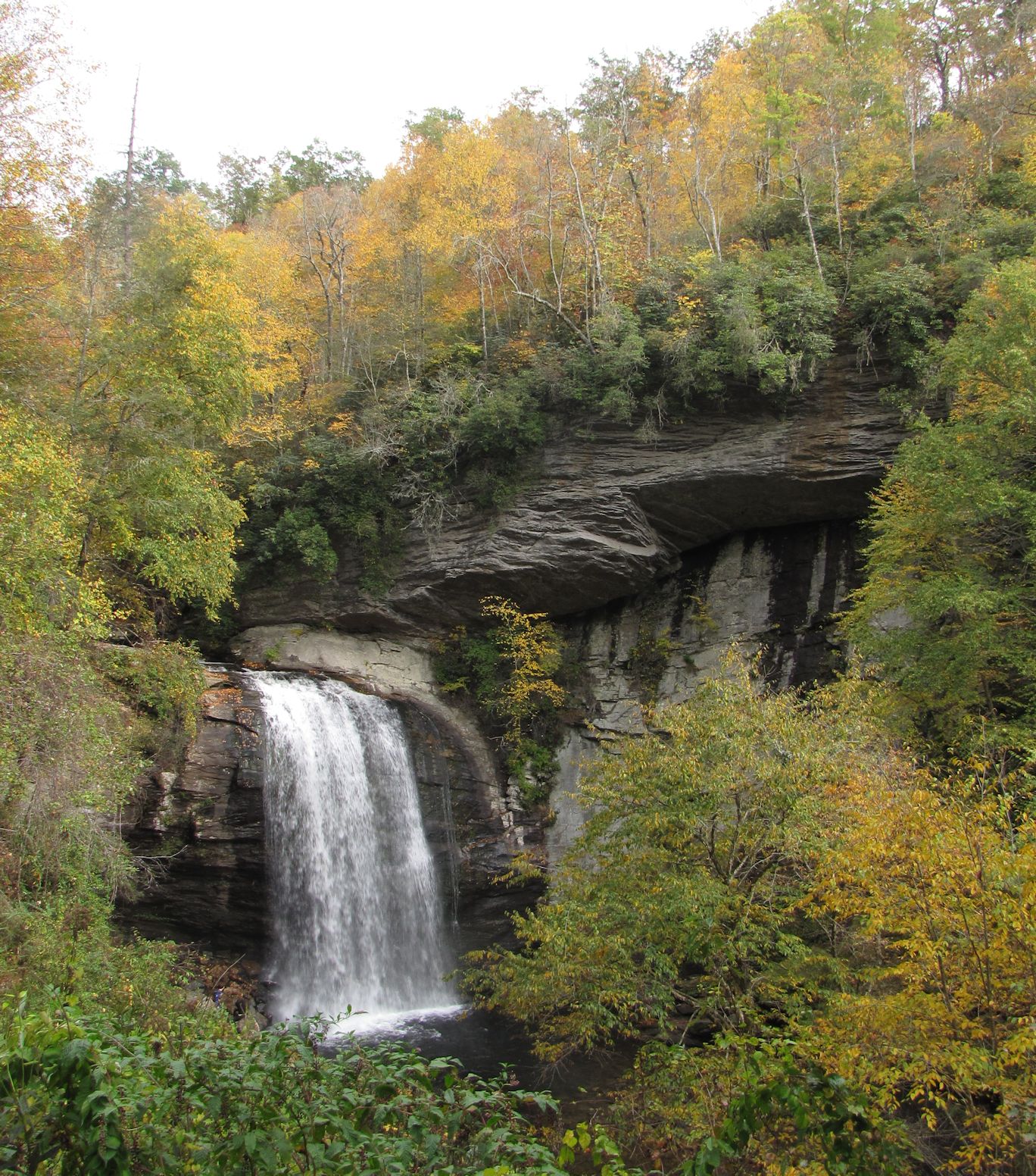 Femme au foyer: Fall Colors in the Upstate SC and Vicinity