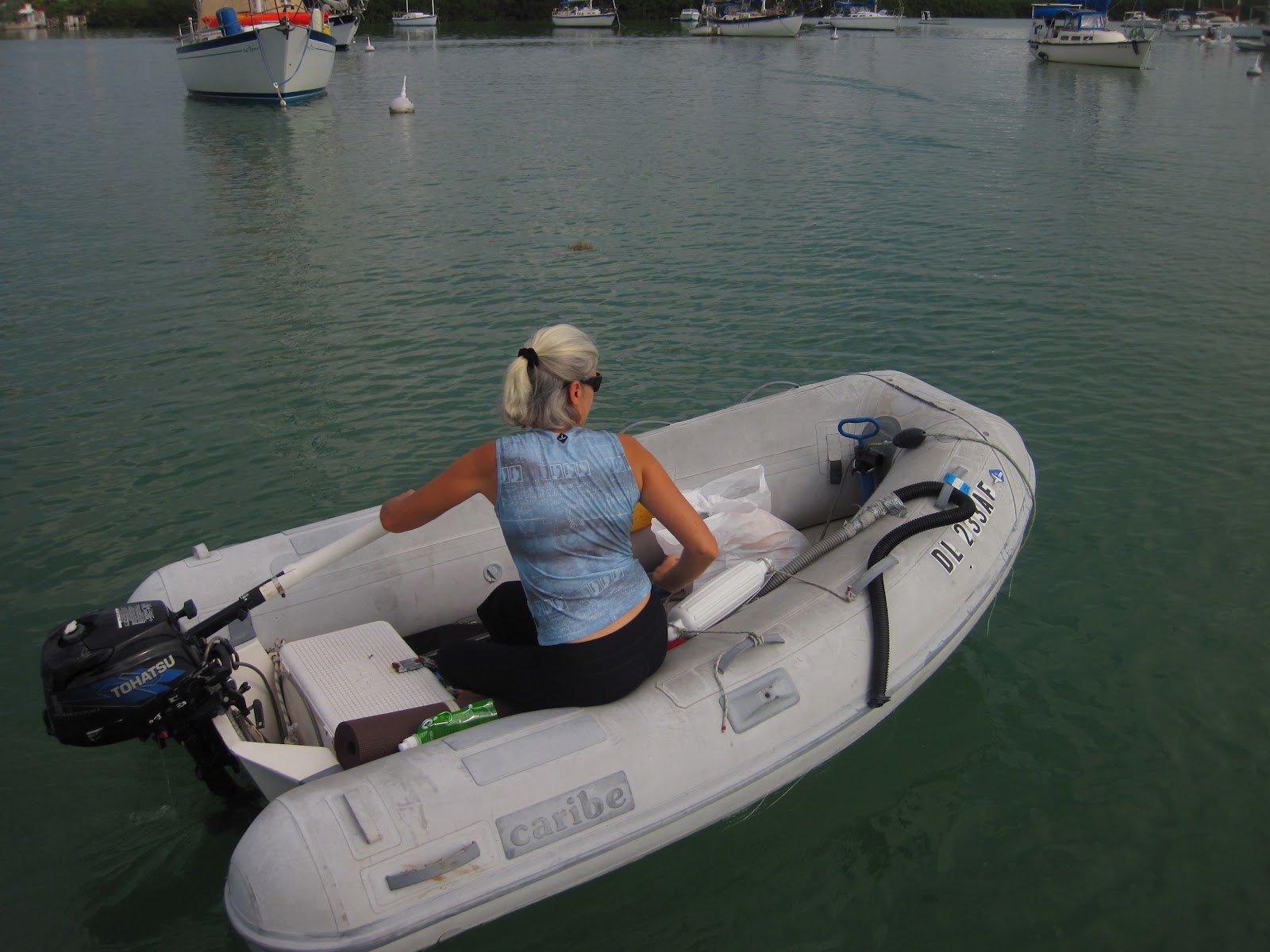 plodding in paradise: TO DO: DINGHY