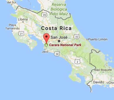 Macro Poema : Parque Nacional Carara - Costa Rica