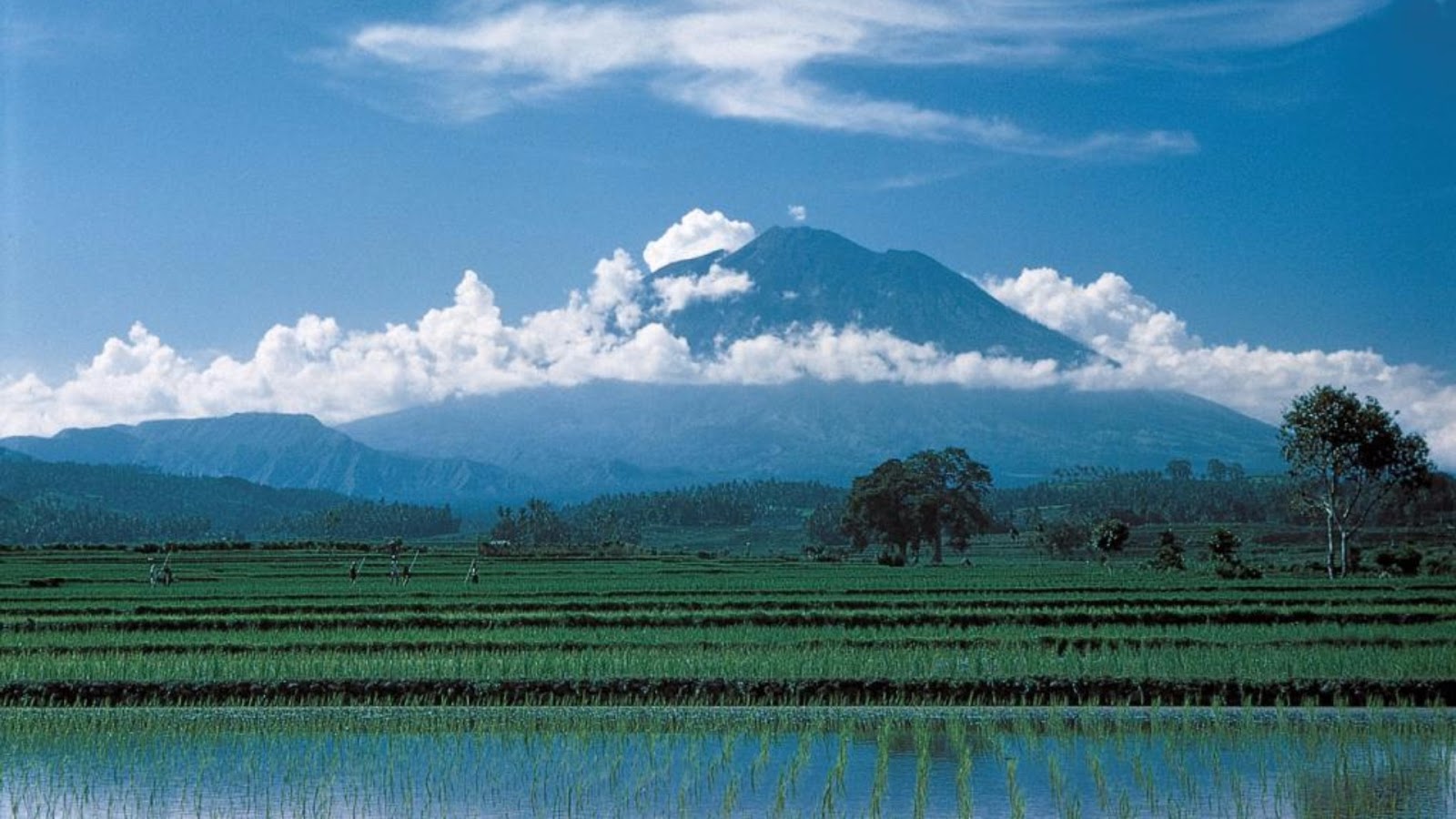 Sciency Thoughts: Thousands evacuated from area around Mount Agung ...