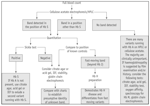 Biochemistry Class notes: Scheme for investigation of Haemoglobinopathies
