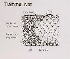 Cara Pengoperasian Jaring Trammel Net