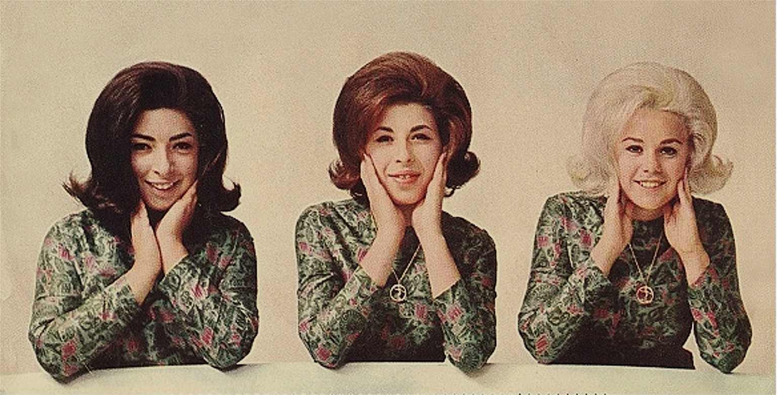 WHITE DOO-WOP COLLECTOR: THE HONEYS_The Love Of A Boy & A Girl