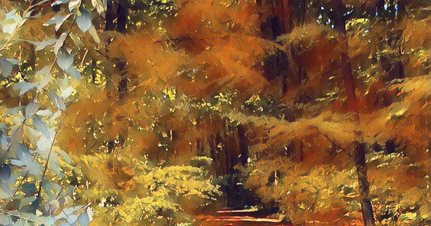 Kartenzauber und mehr....: Herbsttag von Rainer Maria Rilke