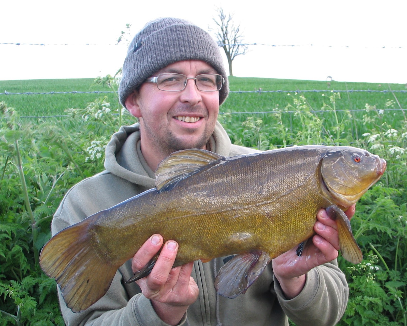 A Specialist Anglers Diary: Tench fishing - getting warmer