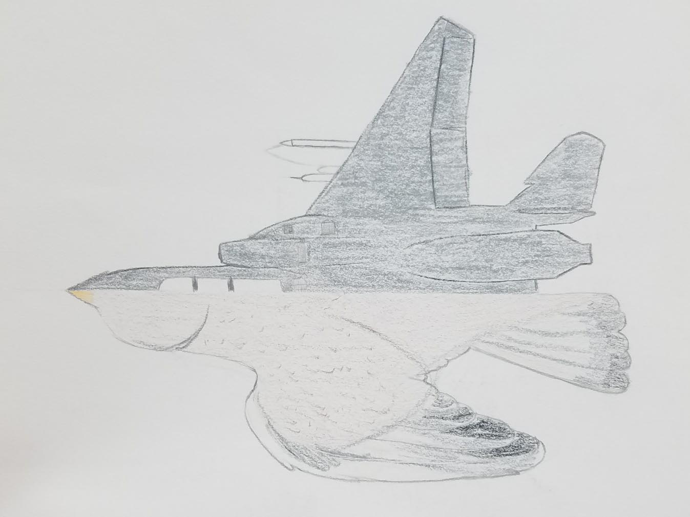 Jerdee's Art Classes: Drawing A | Transformation (1 object into another ...