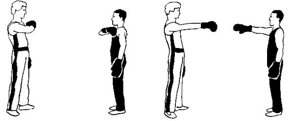 Club ARAMÁC Savate Boxeo Francés.: Tecnicas de SBF