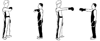 Club ARAMÁC Savate Boxeo Francés.: Tecnicas de SBF