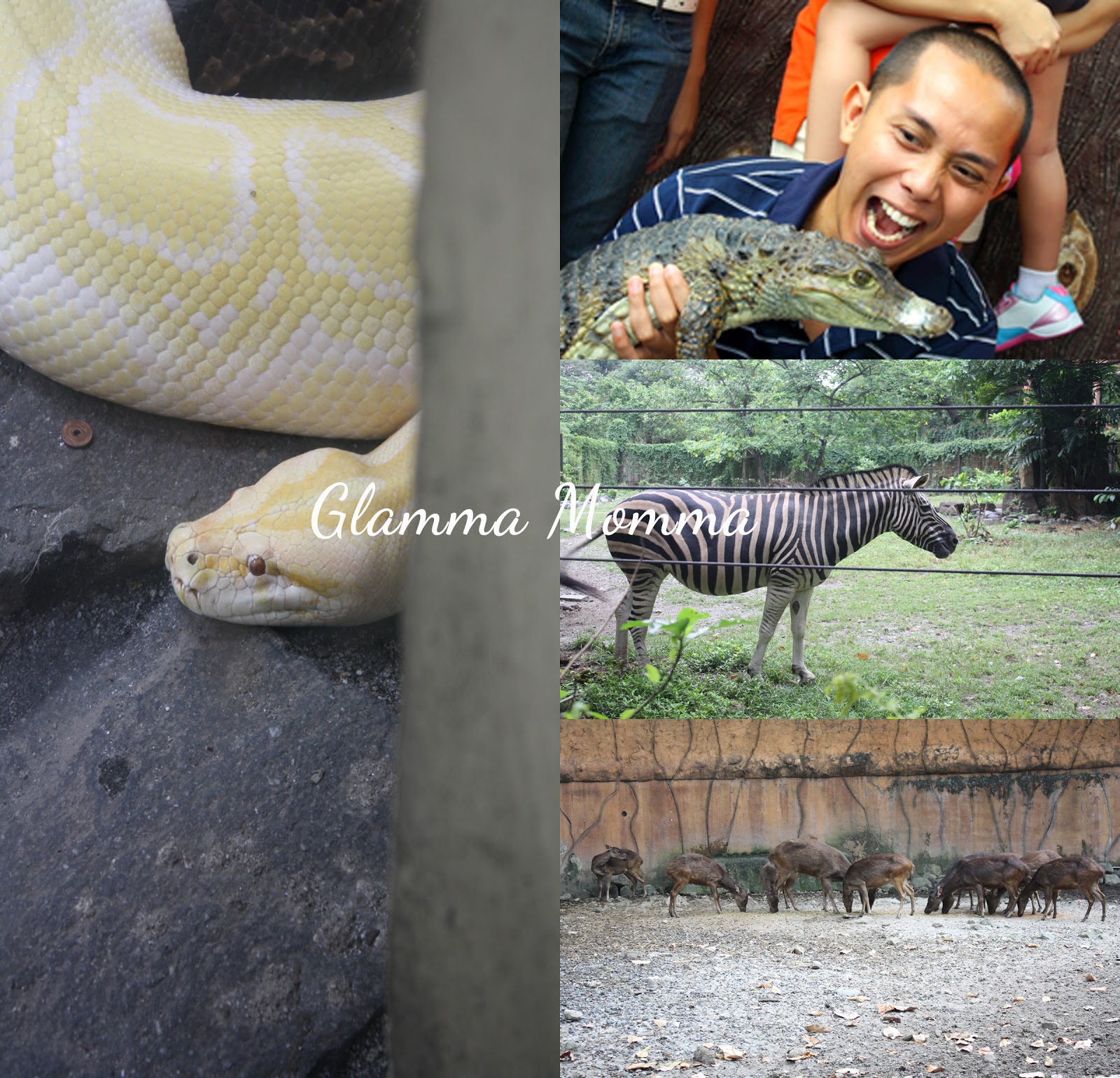 Family Day in Manila Zoo - Glamma Momma