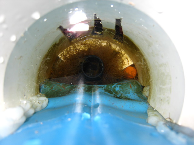 120 things in 20 years: Aquaponics - Loop siphon