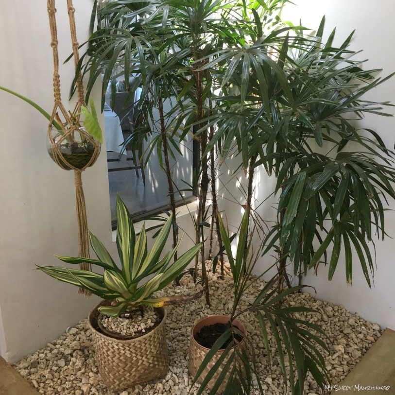 My Sweet Mauritius: DEJEUNER A FALAISE ROUGE