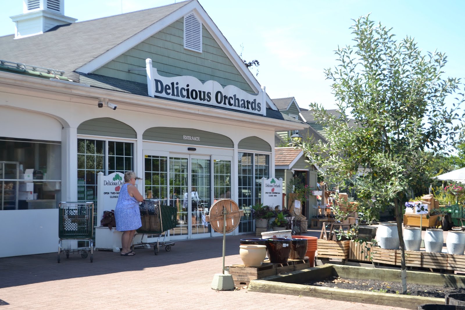 It's All About Purple: Delicious Orchard