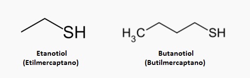 El celuloide de Avogadro: 2015