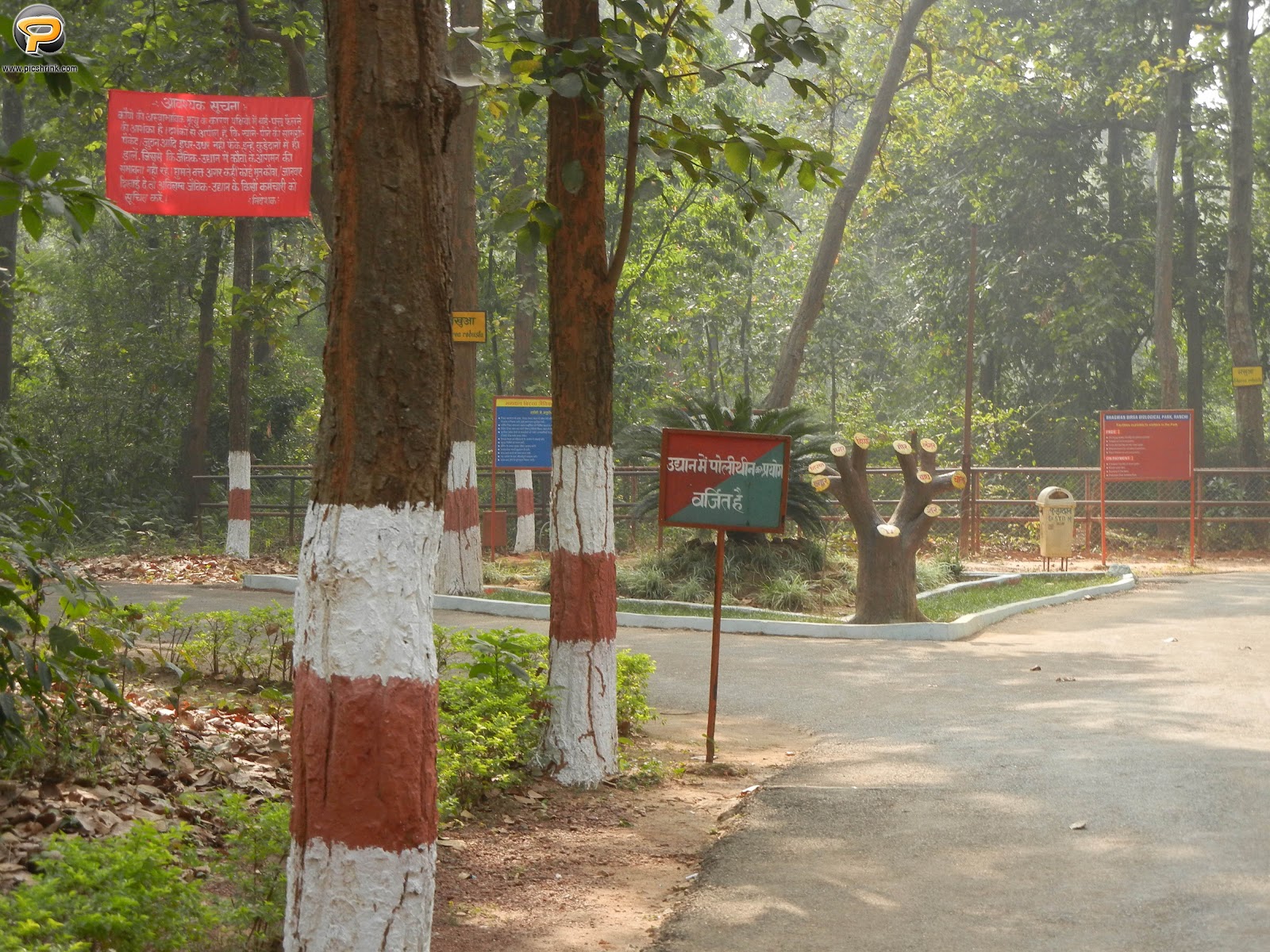 AMIMAANSI: Birsa Zoo Ormanjhi ,Ranchi
