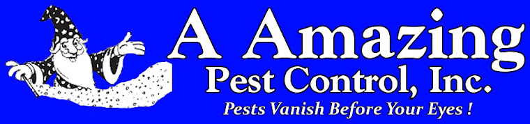 Pest Control Chino Hills 888-774-7702