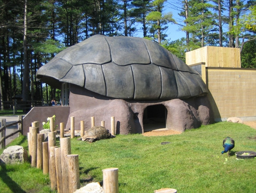 The Lavish Life of Henry: Turtle House Wisconsin
