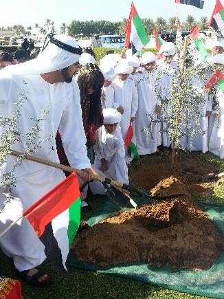 Mich Café: UAE at 41 makes history young again