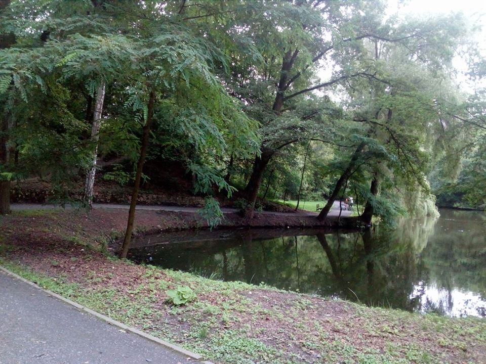 Fit Inaczej: Co może robić dietetyk w Opolu, czyli praktyki w Ajwen.