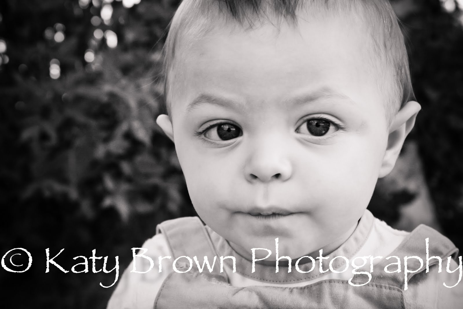 Katy Brown Photography: Baby Brayden | Toddler Photography