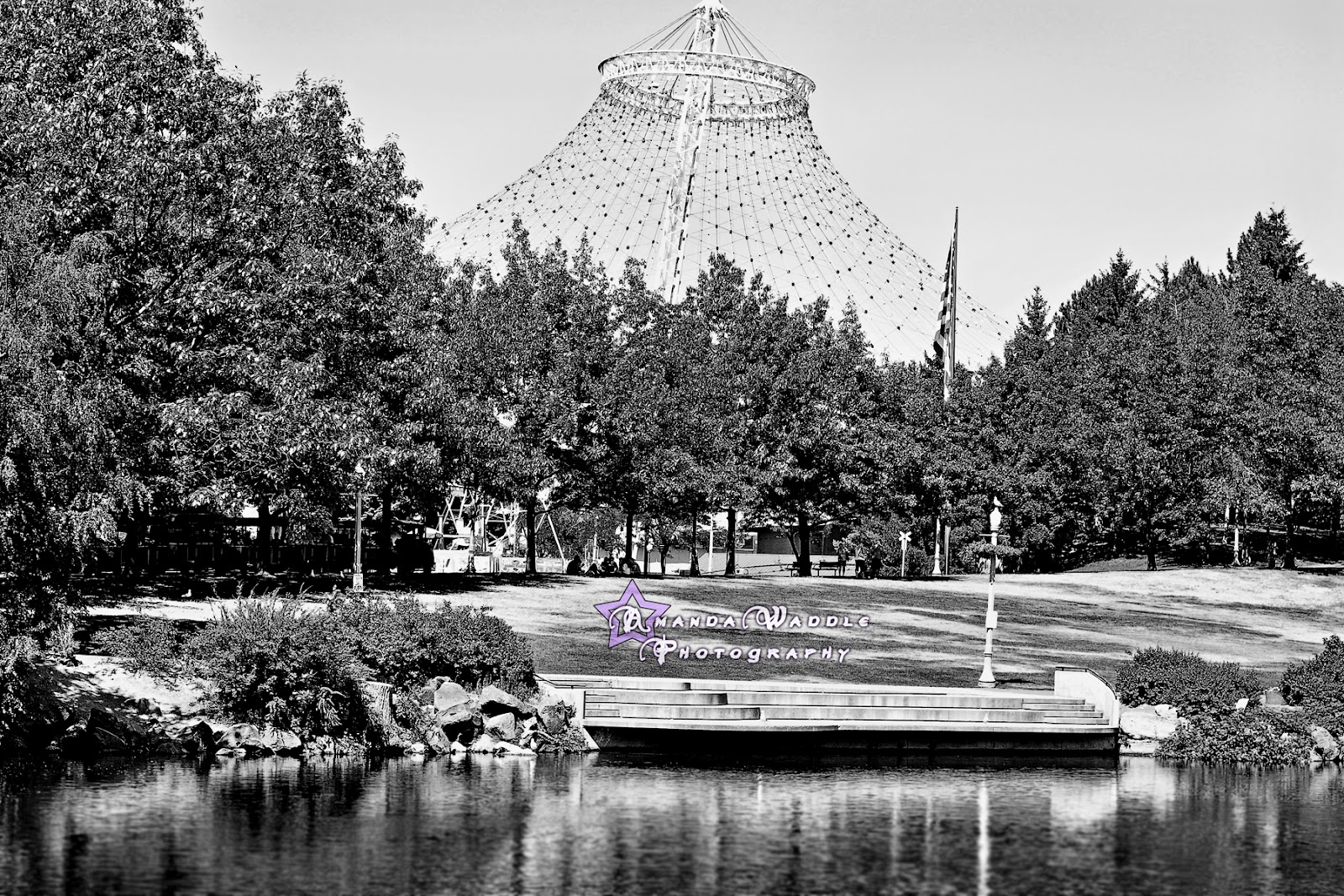 Amanda Waddle Photography