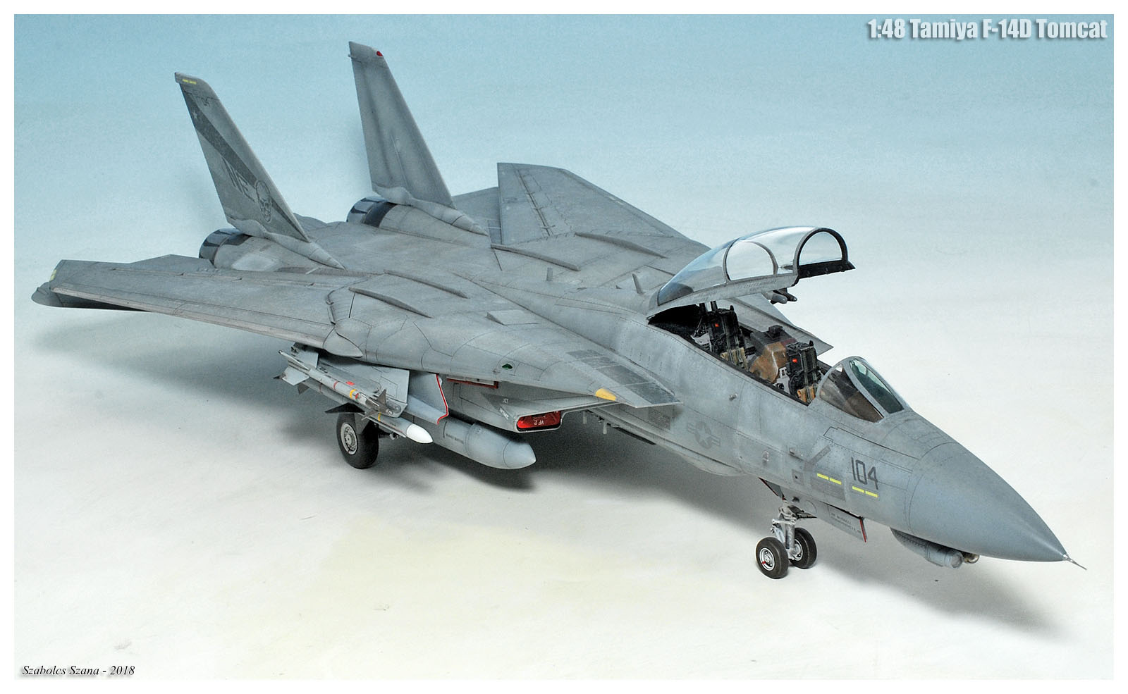 Wings of Glory: 1/48 Tamiya F-14D Tomcat