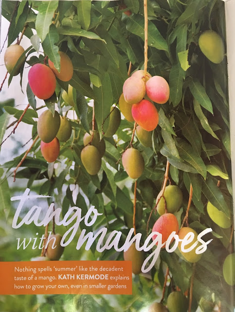 Daleys Fruit Tree Blog: Tango for Mangoes