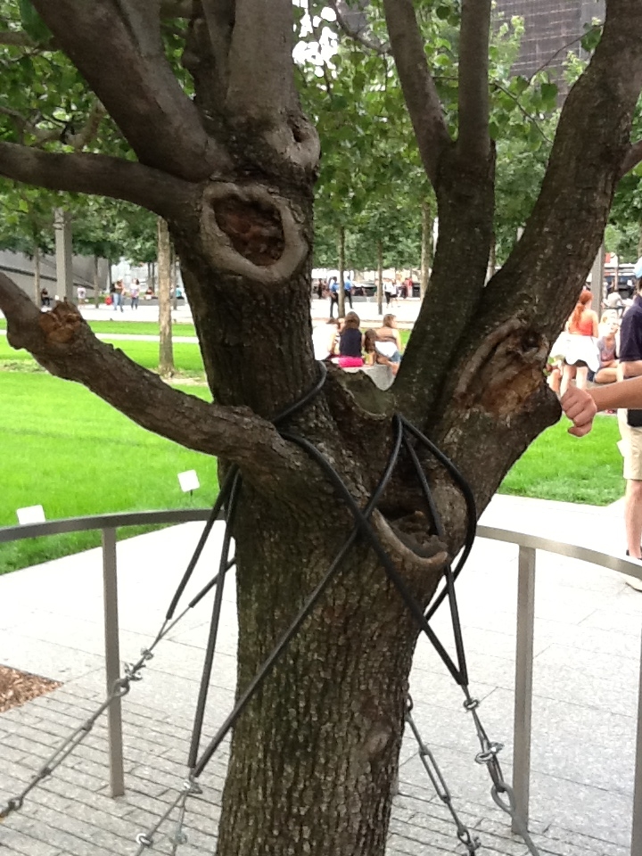 Parenting On Your Own: The Survivor Tree & 9/11 Memorial Visit