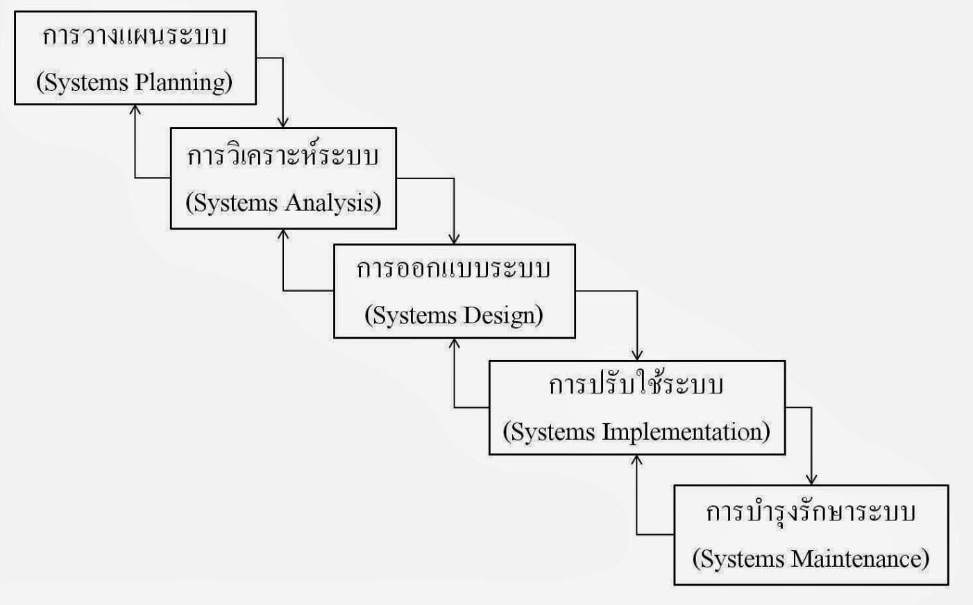 Tossaphorn Patimachon : พัฒนาระบบ
